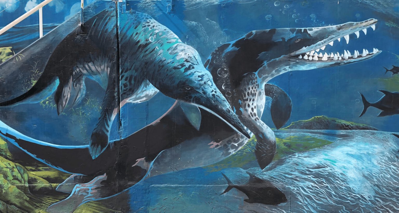 Mural Nº 1 . De las patas a las aletas – Ciencia al Viento